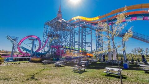 Plan Your Visit | Calypso