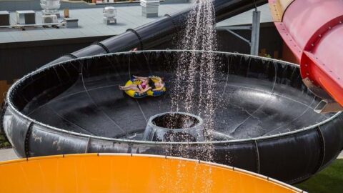 Plan Your Visit | Calypso